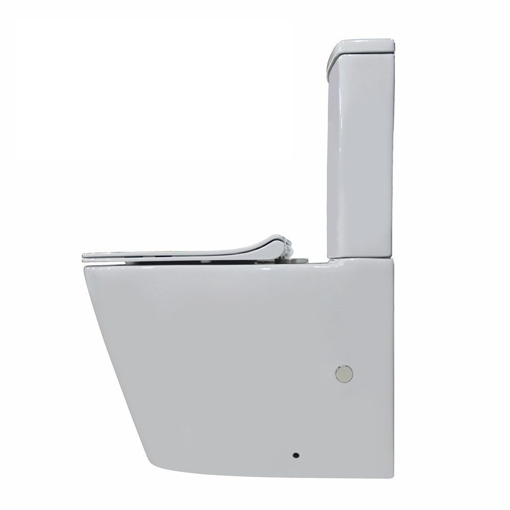 Buy Vortex Flush Nano Glaze Toilet in NZ - | Danik Bathroom